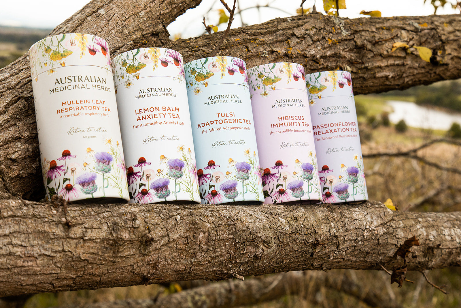 Australian Medicinal Herbs - Life Changing Tea & Tinctures